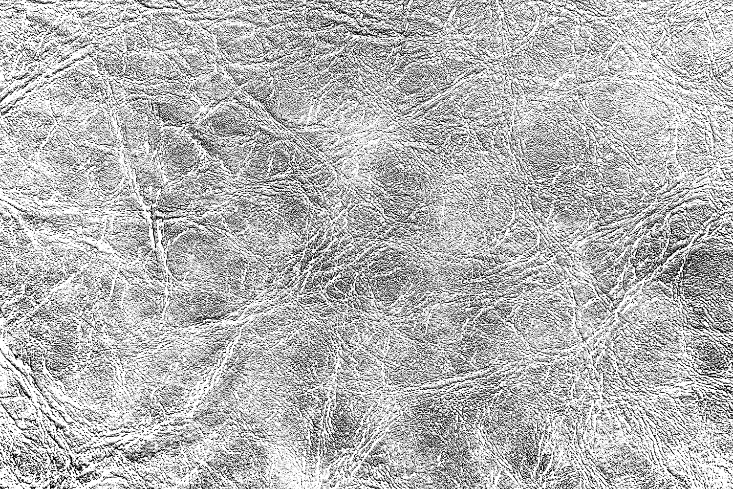 Leather Transparent Textures