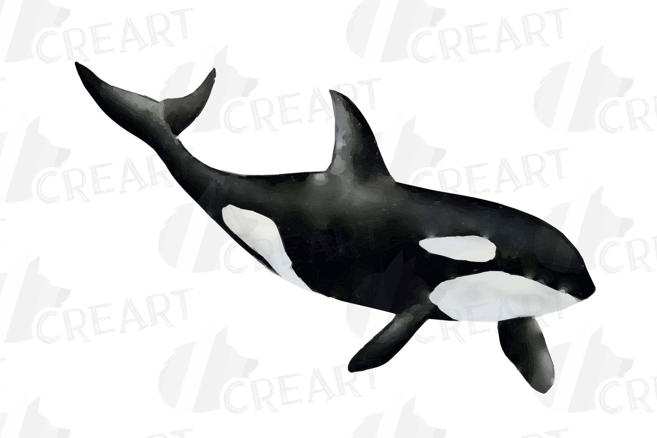 Orca family watercolor clip art pack, killer whales decor (217294 ...