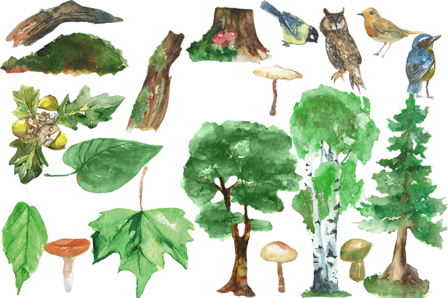 Woodland Watercolor clip art