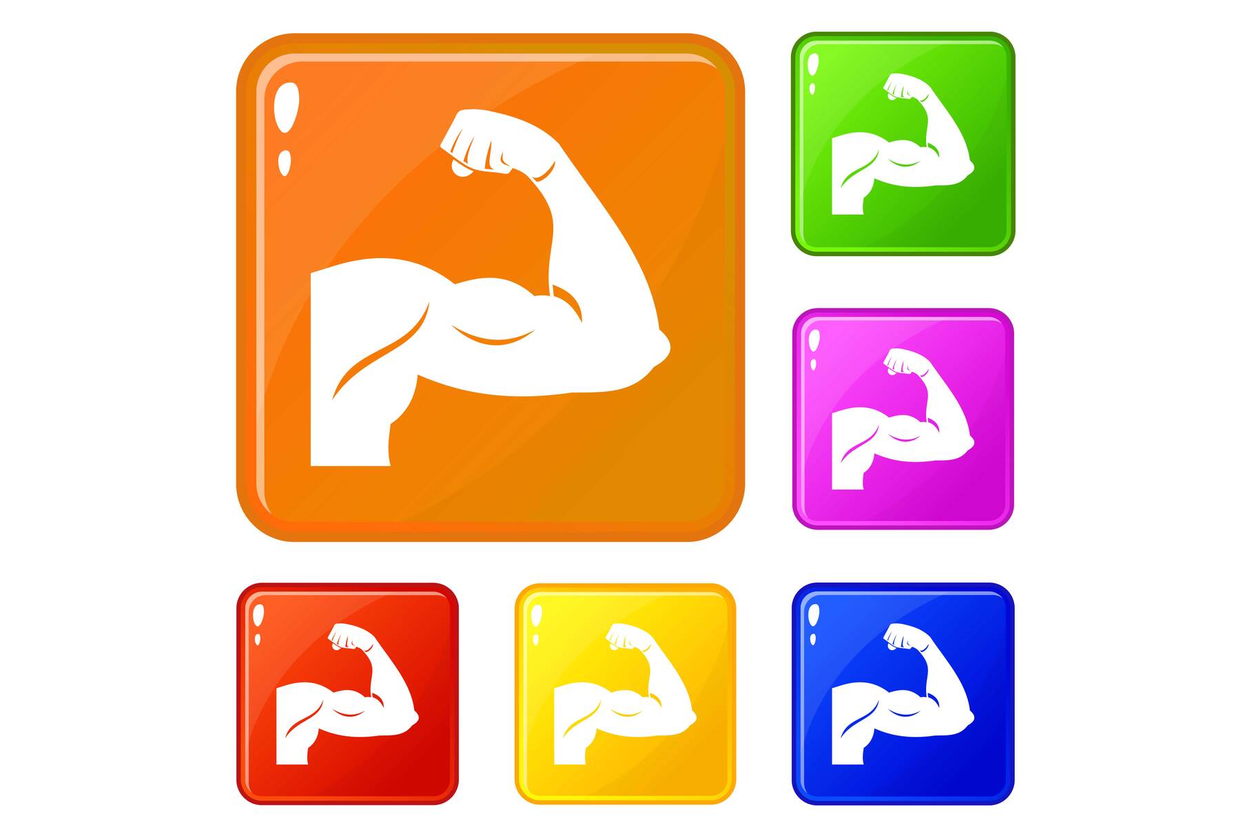 Biceps icons set vector color