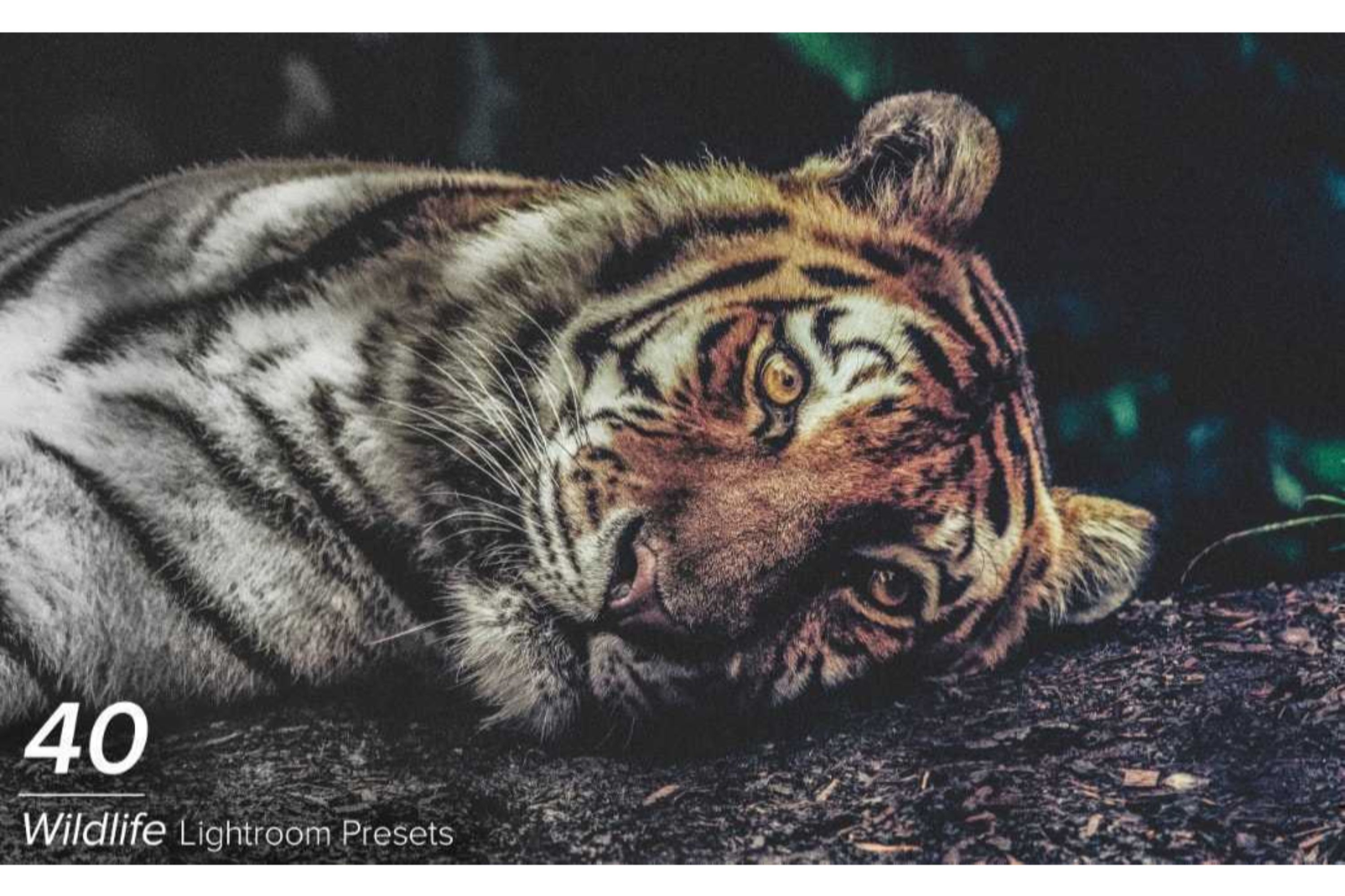 40 Wildlife Lightroom Presets