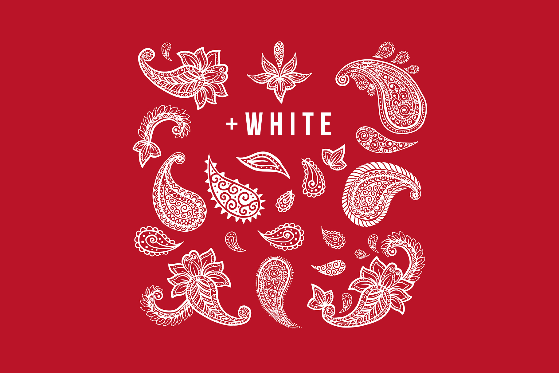 Paisley Patterns Collection