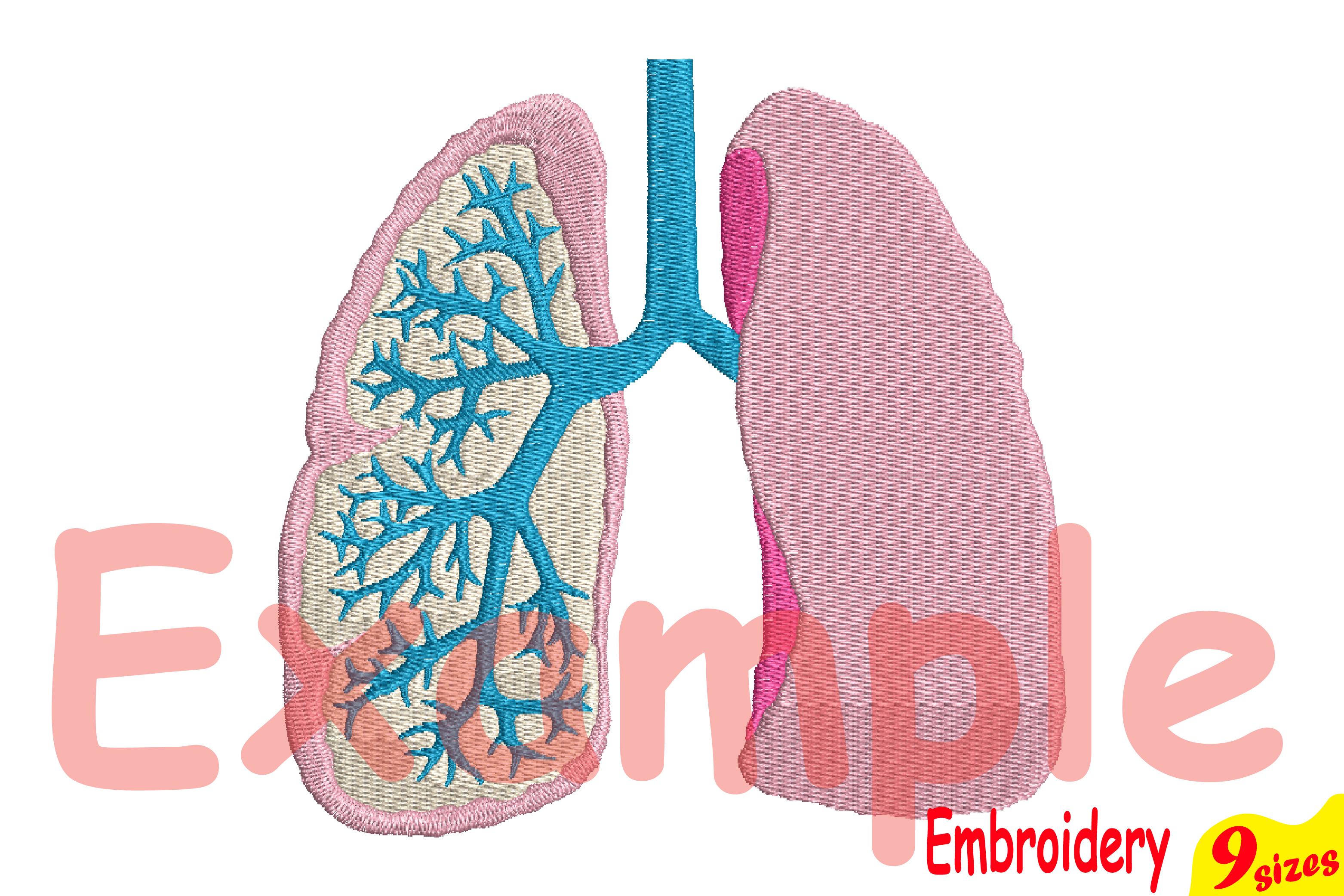 Organs Anatomy Embroidery Design Machine Instant Download Commercial ...