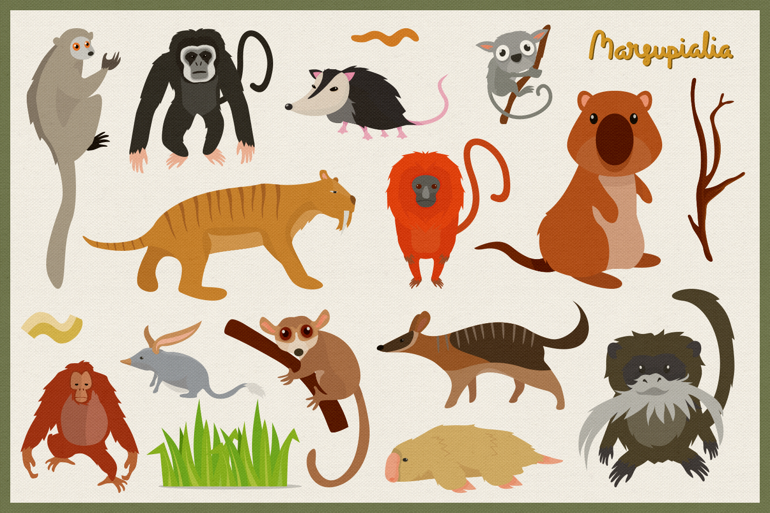 Marsupialia & Primates Vector Clipart and Seamless Pattern