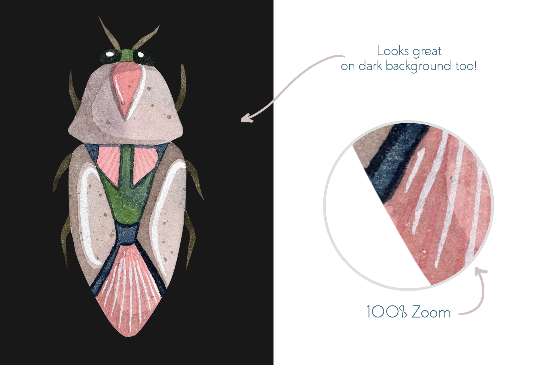 Watercolor Bugs Insects Collection (198020) | Illustrations | Design ...