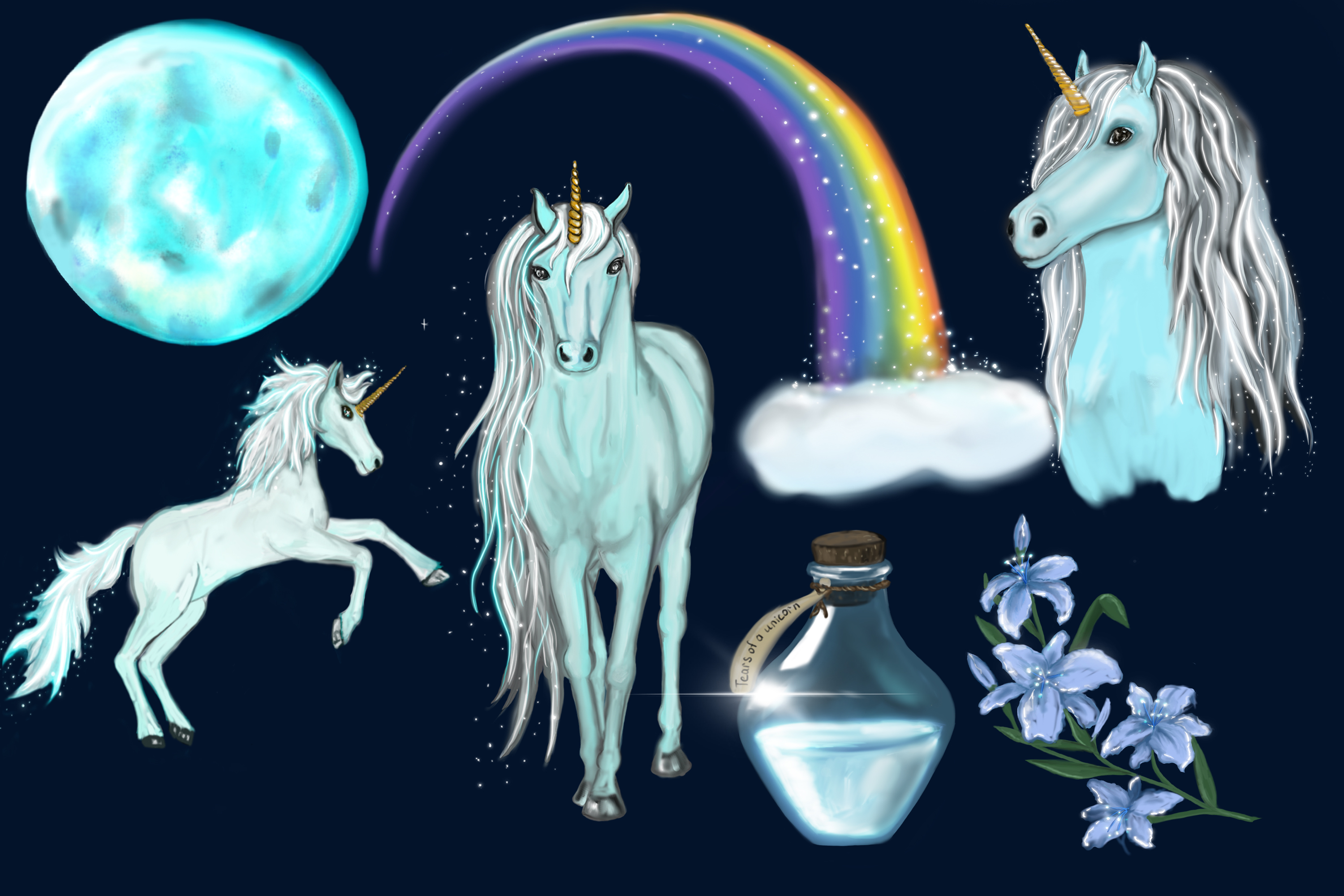 Unicorn clipart, fairy clipart, magic unicorn PNG PDF