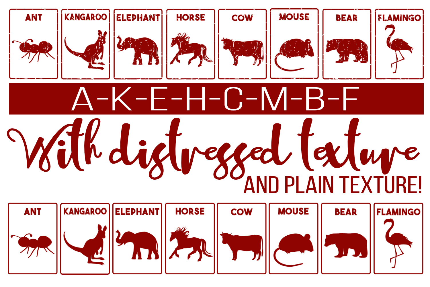 Dressage letters for kids or disabled, horseriding school