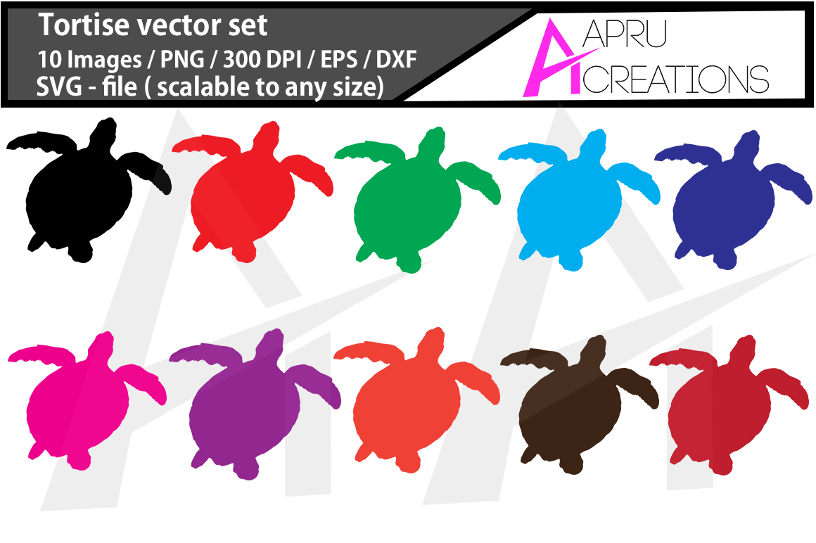 tortoise vector / tortoise vector svg , eps , dxf and png / tortoise ...