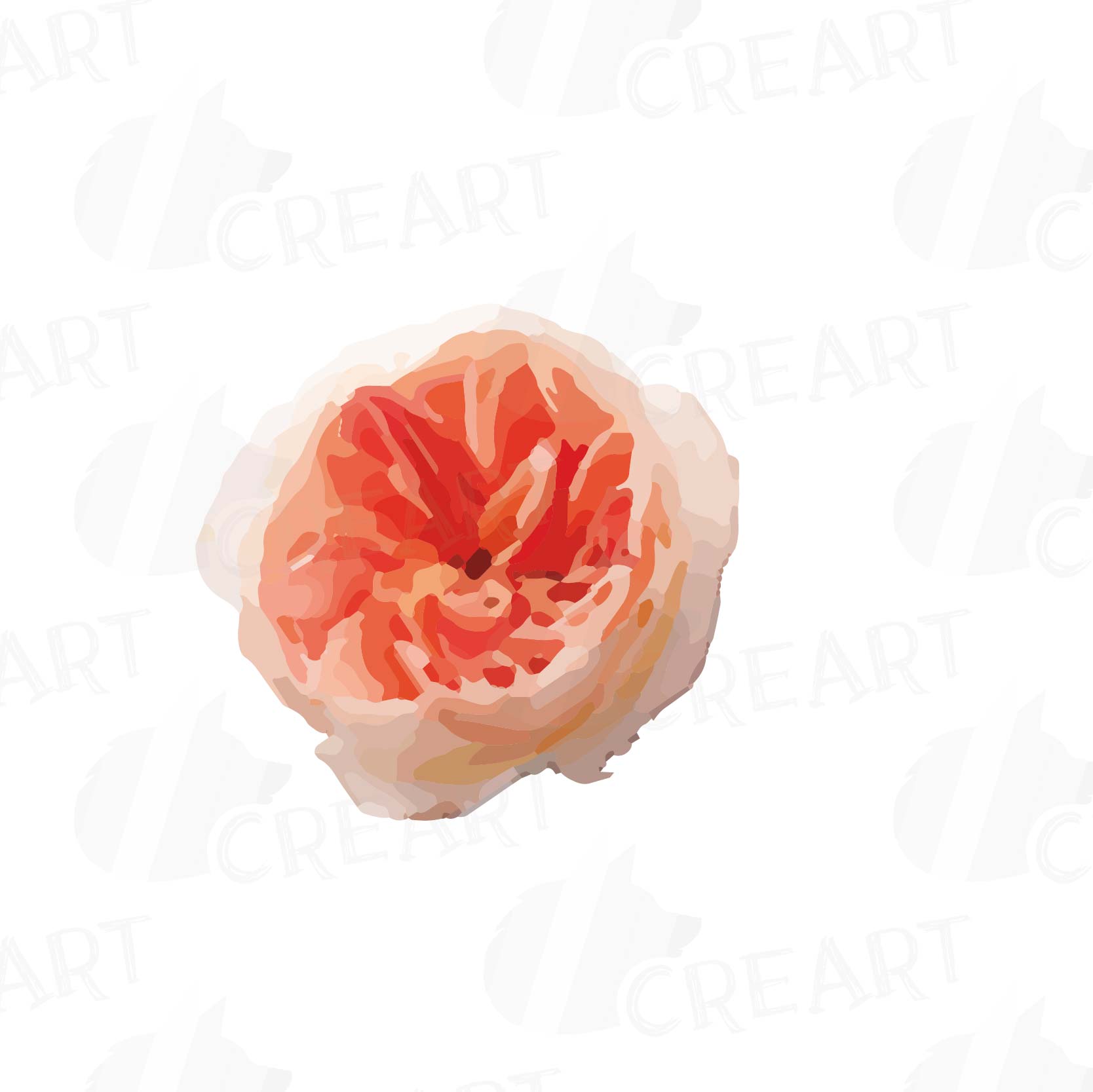 Watercolor cream and peach Roses and leafs clip art pack, peach and ...
