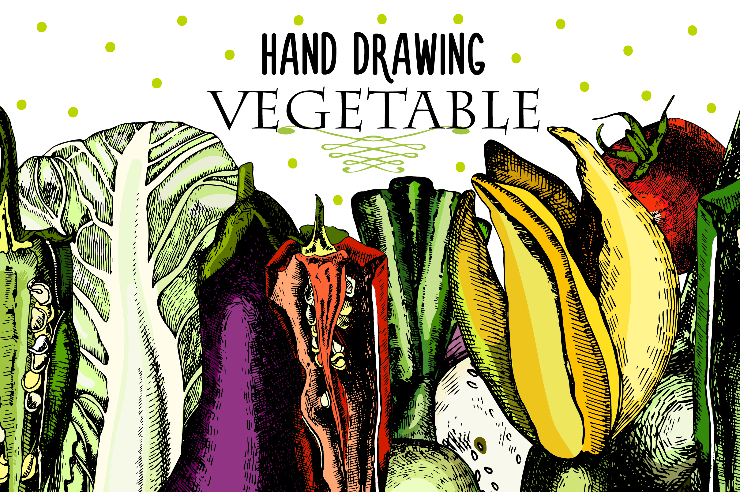 Beautiful vegetables for your design (2136) | Illustrations | Design ...