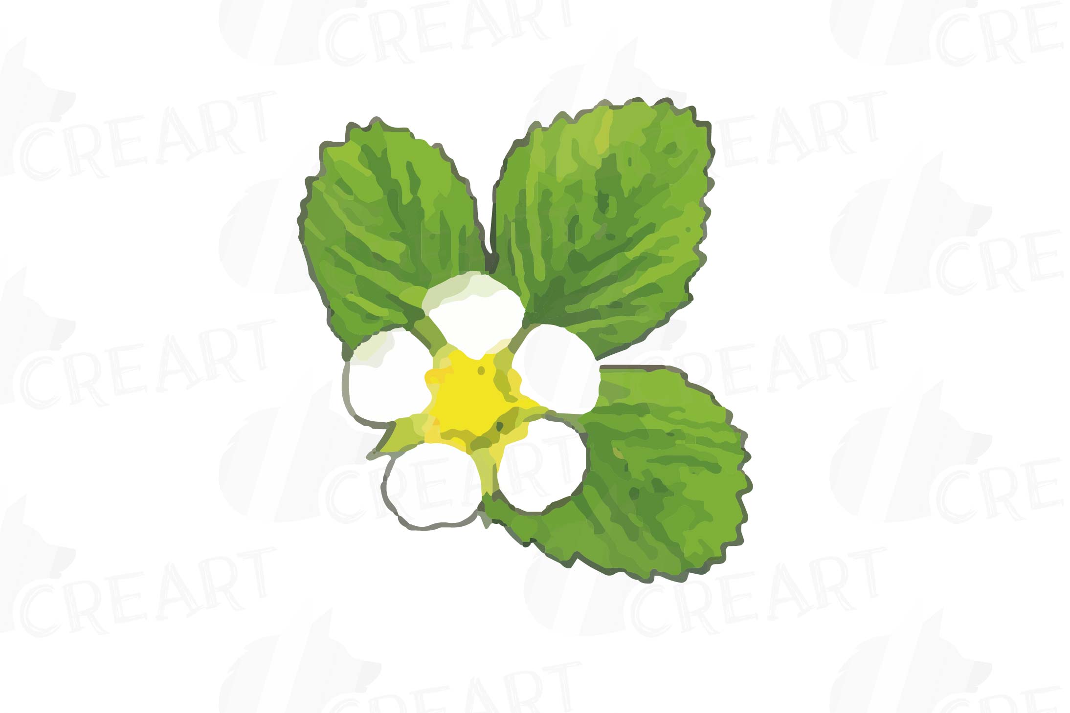 Watercolor Strawberries clip art pack, strawberry flowers (105271 ...