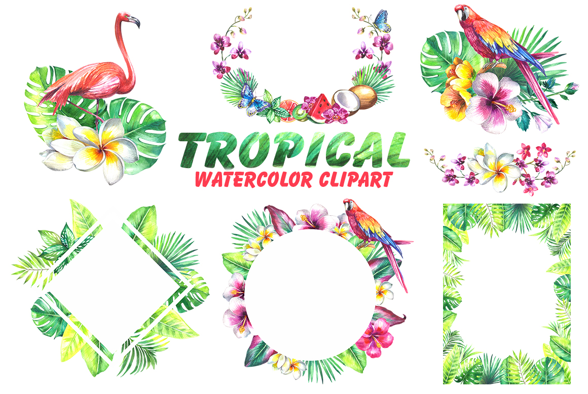 Tropical watercolor clipart