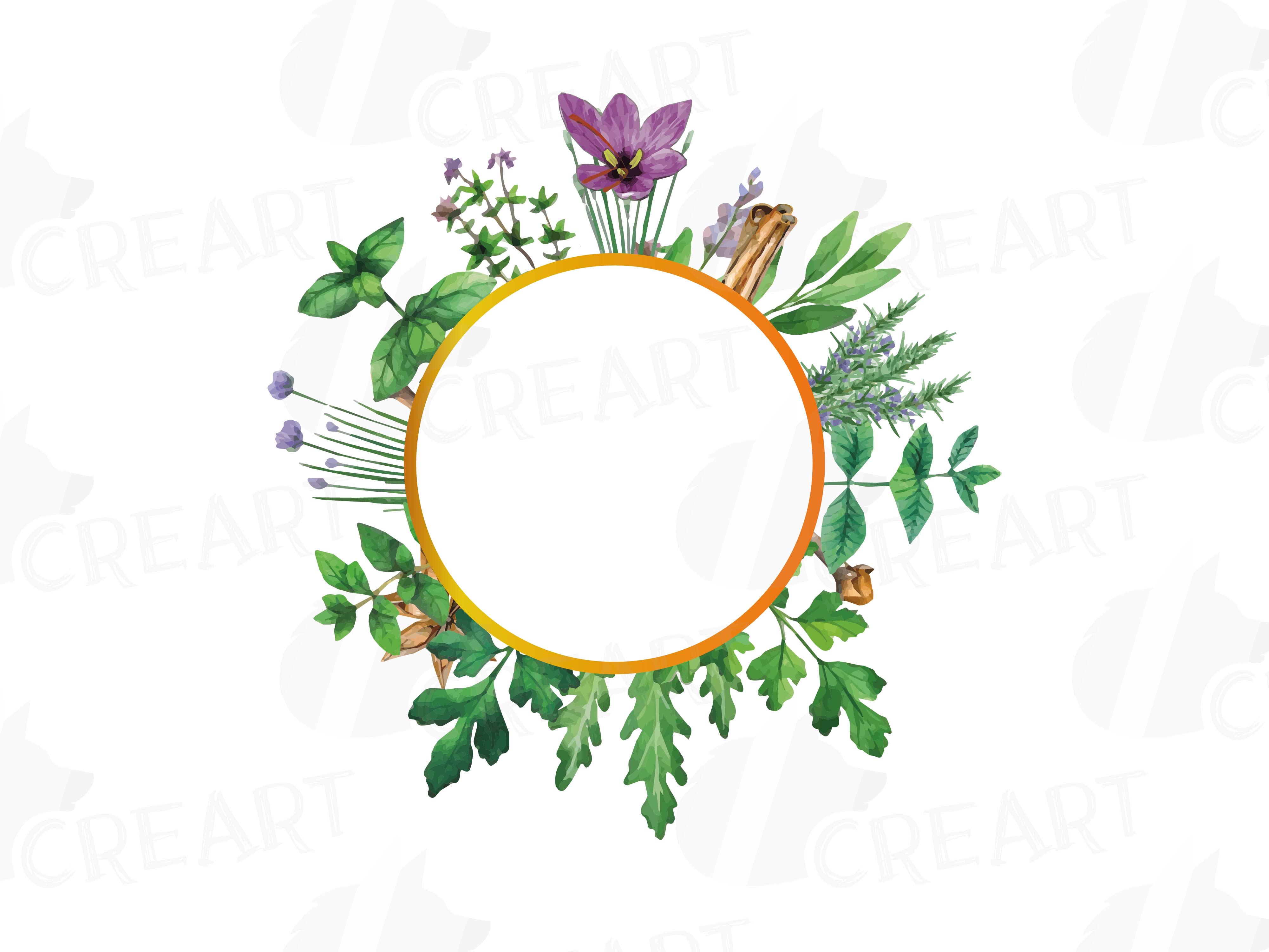 Herbs and Spices frames watercolor clip art pack, watercolor herb ...