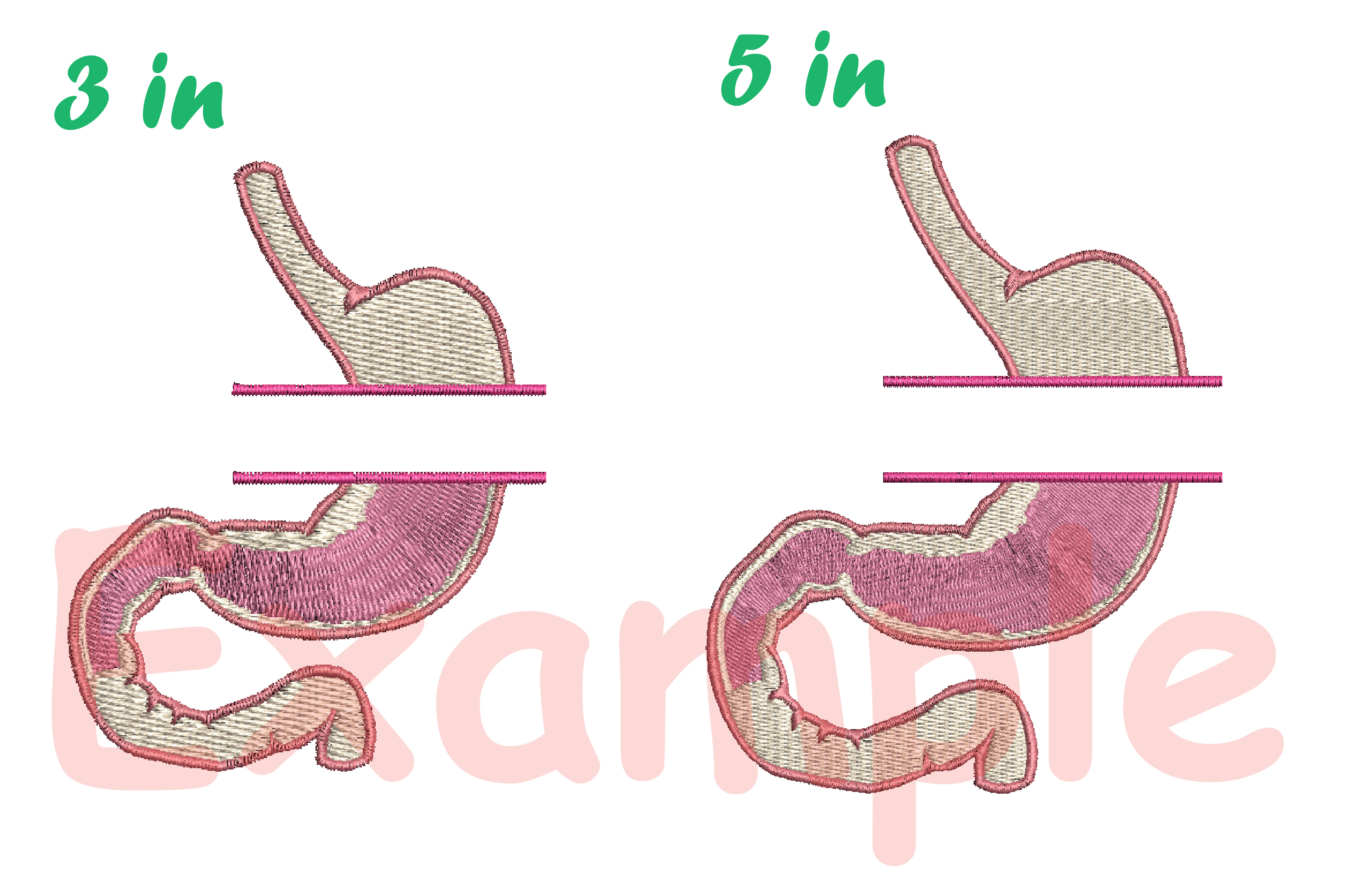 Stomach Circle Split Embroidery Design Machine Instant Commercial Use ...