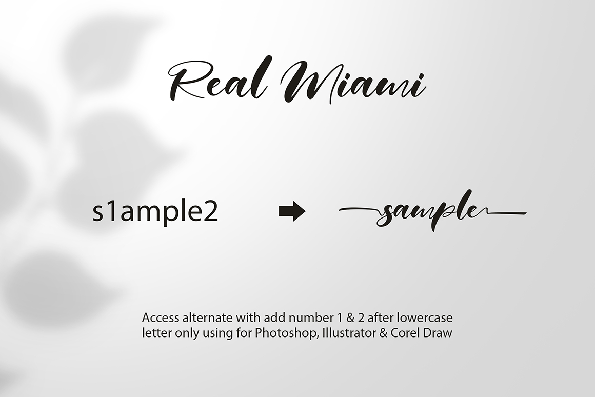 Real Miami Script (258690) | Script | Font Bundles