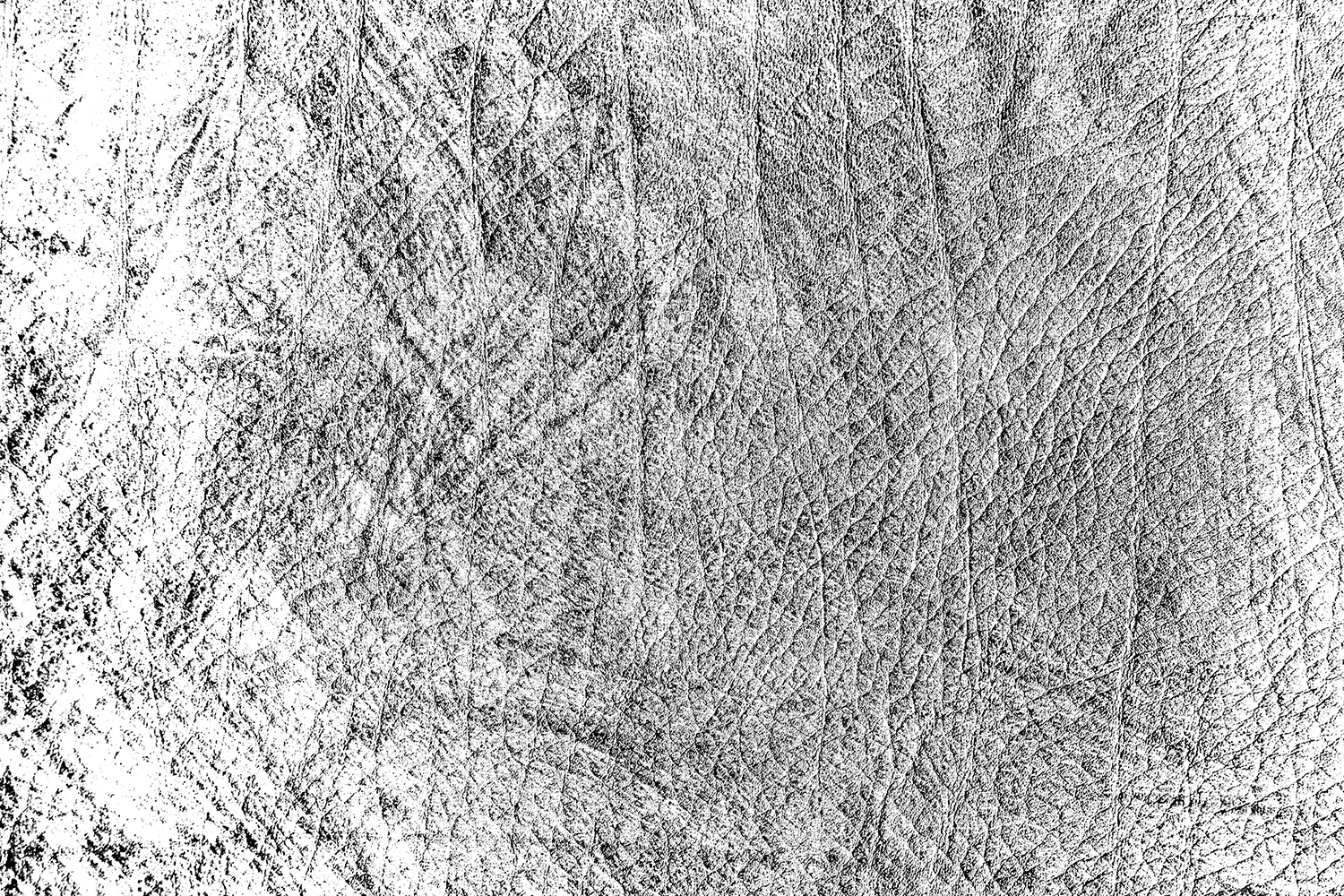 Leather Transparent Textures