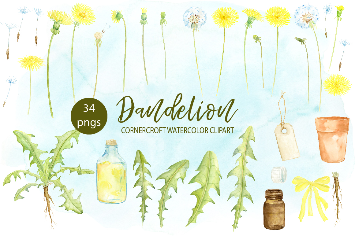 Watercolor Dandelion Clipart