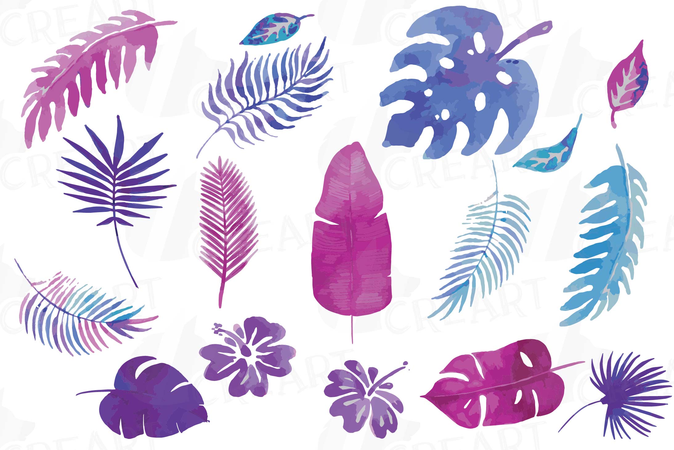 Hawaii palm leafs clip art pack, tropical colorful leaves