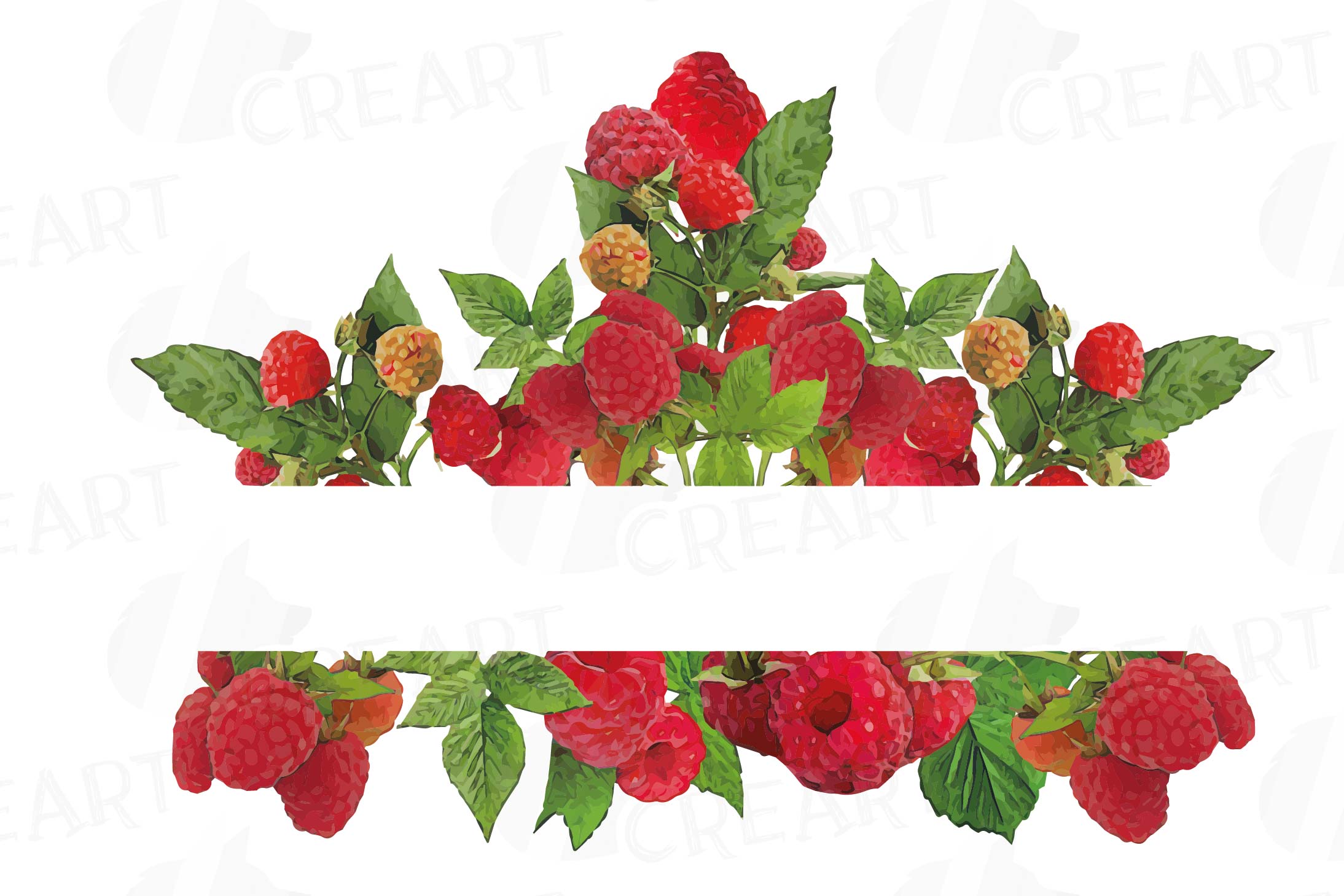 Raspberry frames watercolor clip art pack, Raspberry fruit