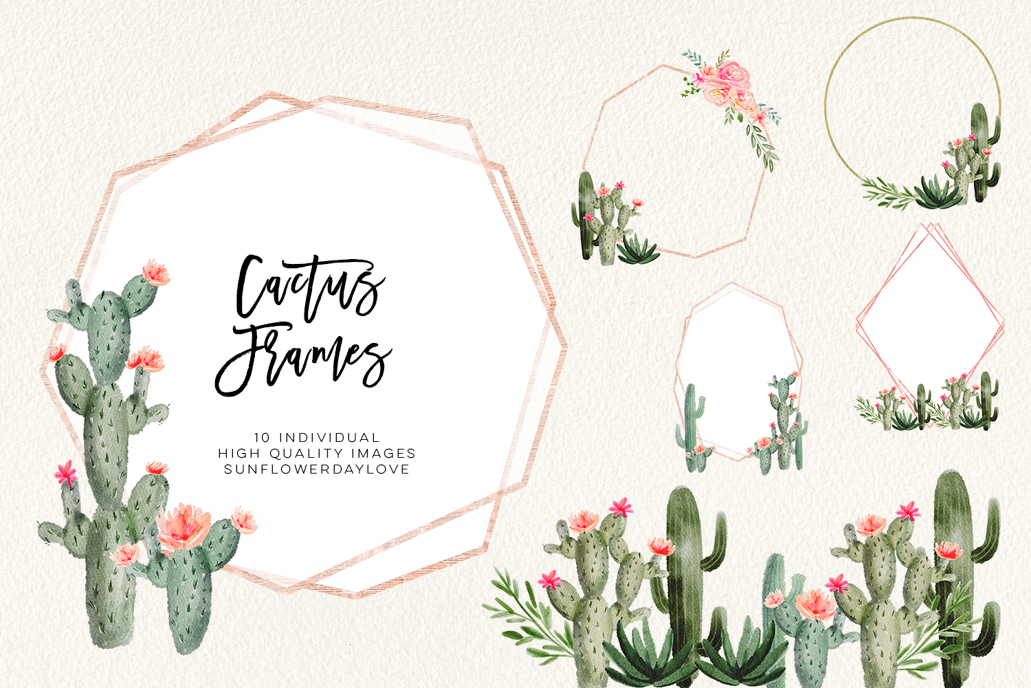 Succulent cactus frames, succulent borders, cactus clipart (272569 ...