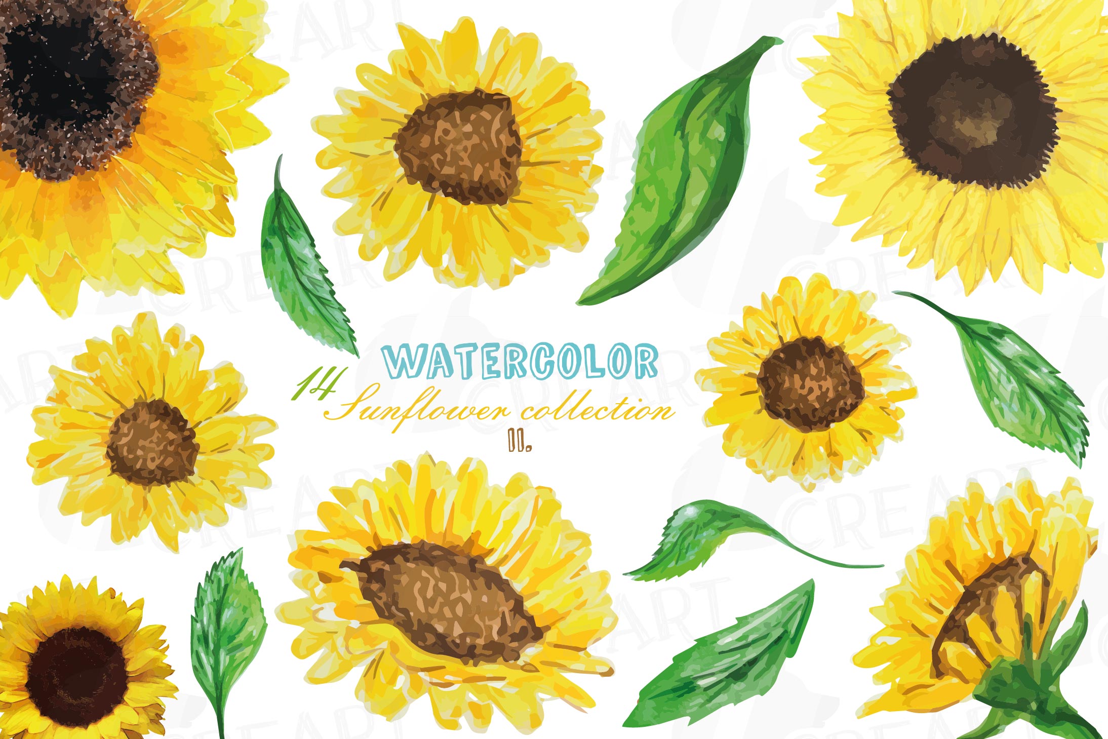 Sunflowers watercolor clip art pack 2, watercolor sunflower