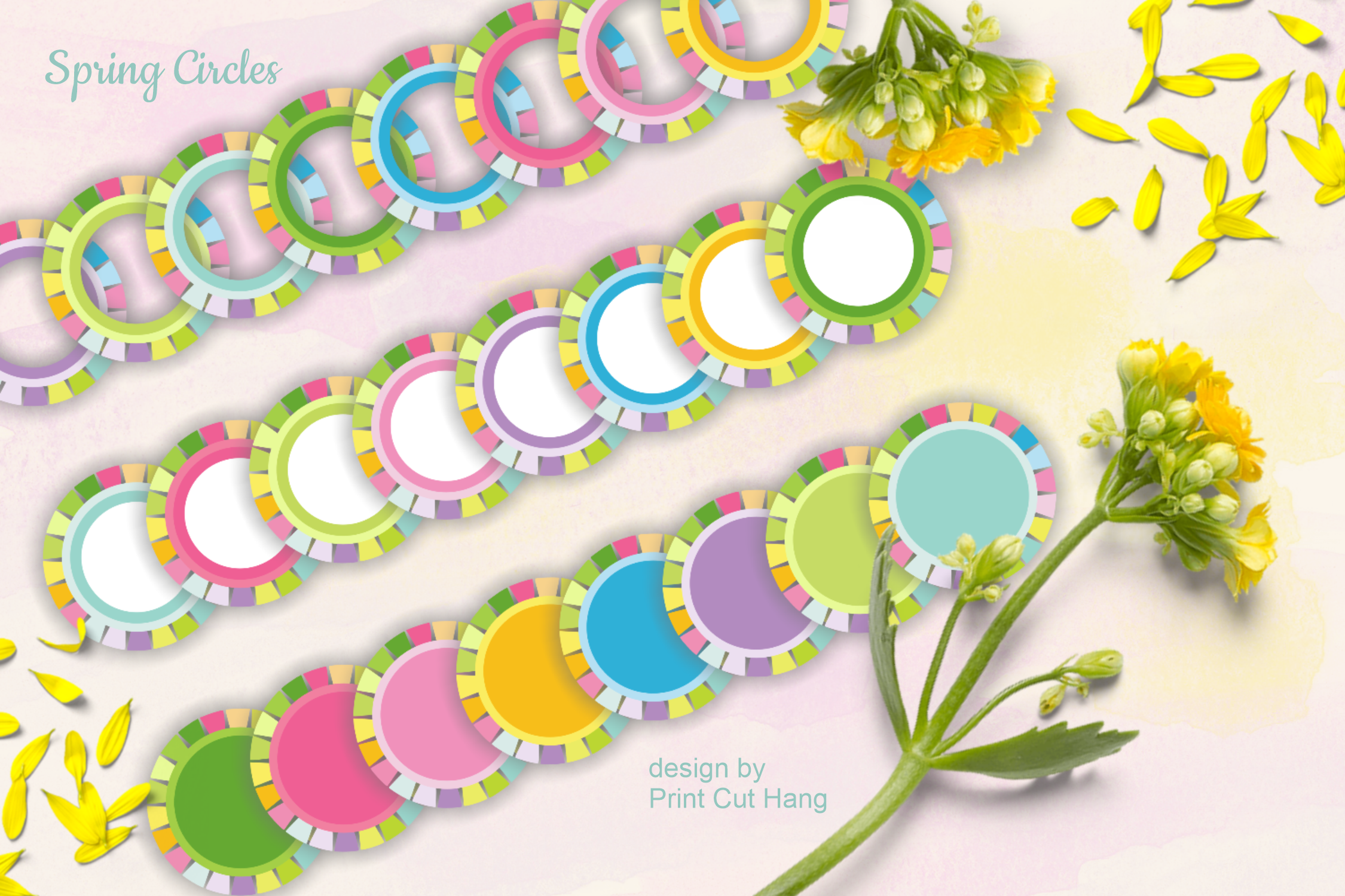 Spring Circle Frames Clipart Set of 24 PNG files (441518) | Decorations ...