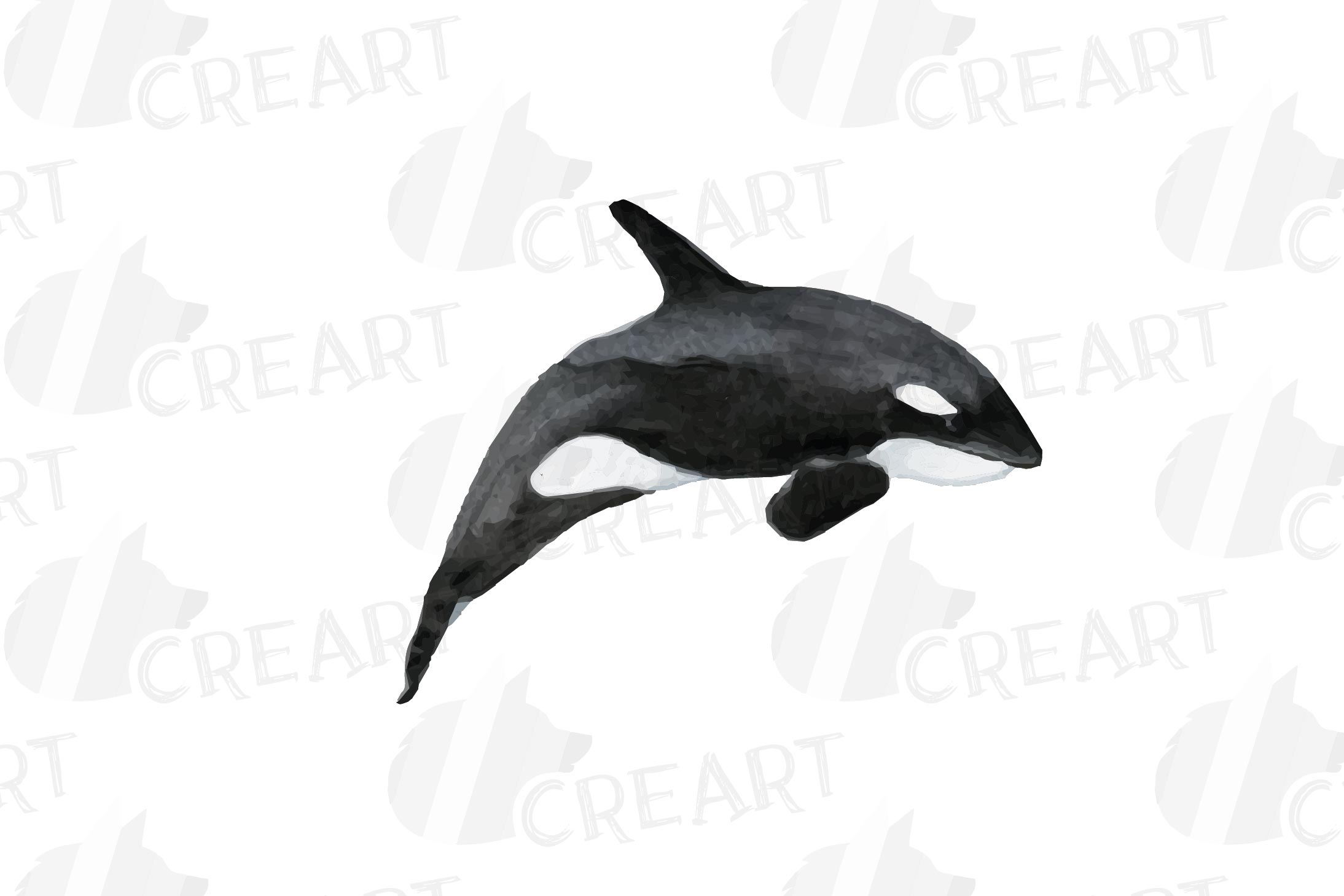Orca family watercolor clip art pack, killer whales decor (217294 ...