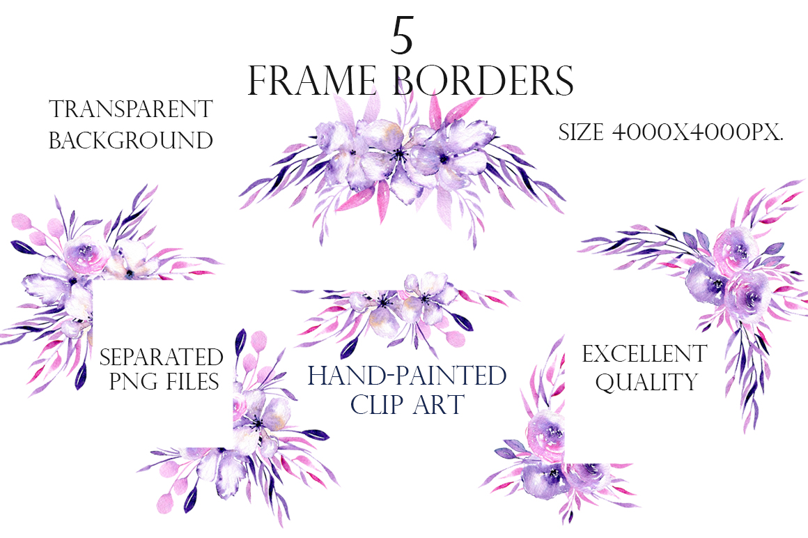 'Washington'. Big purple collection.