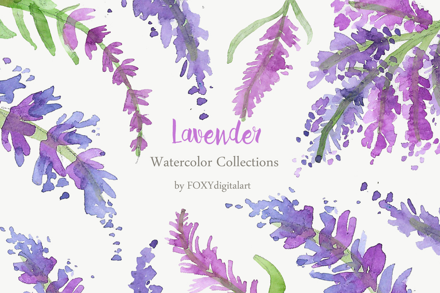 Watercolor Lavender Clipart Collection