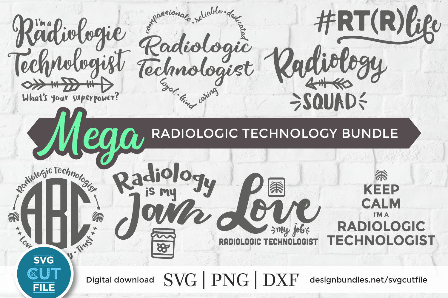 Radiologic Technologist svg bundle, Xray tech svg dxf png (389155 ...