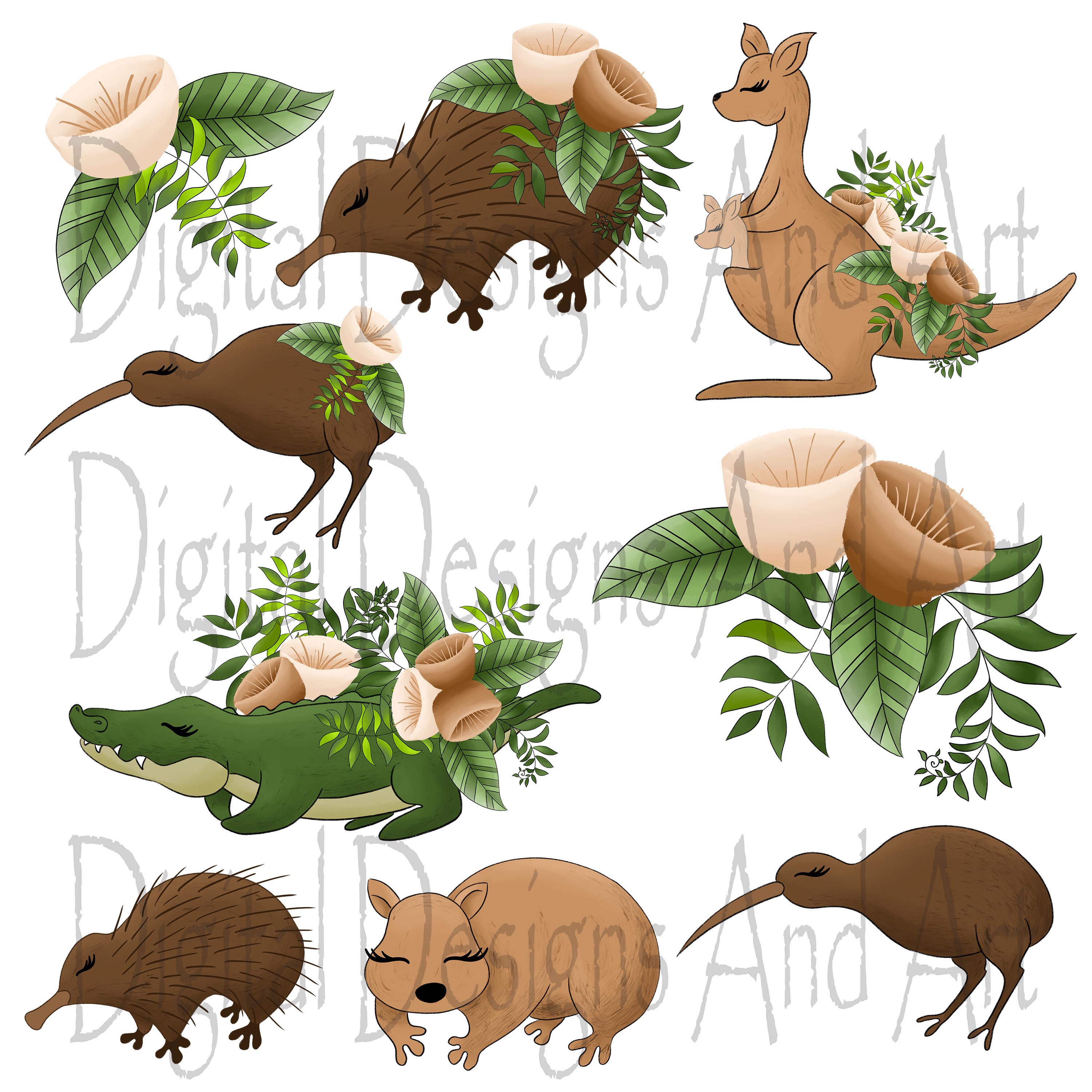 Australia animals clipart (163514) | Illustrations | Design Bundles