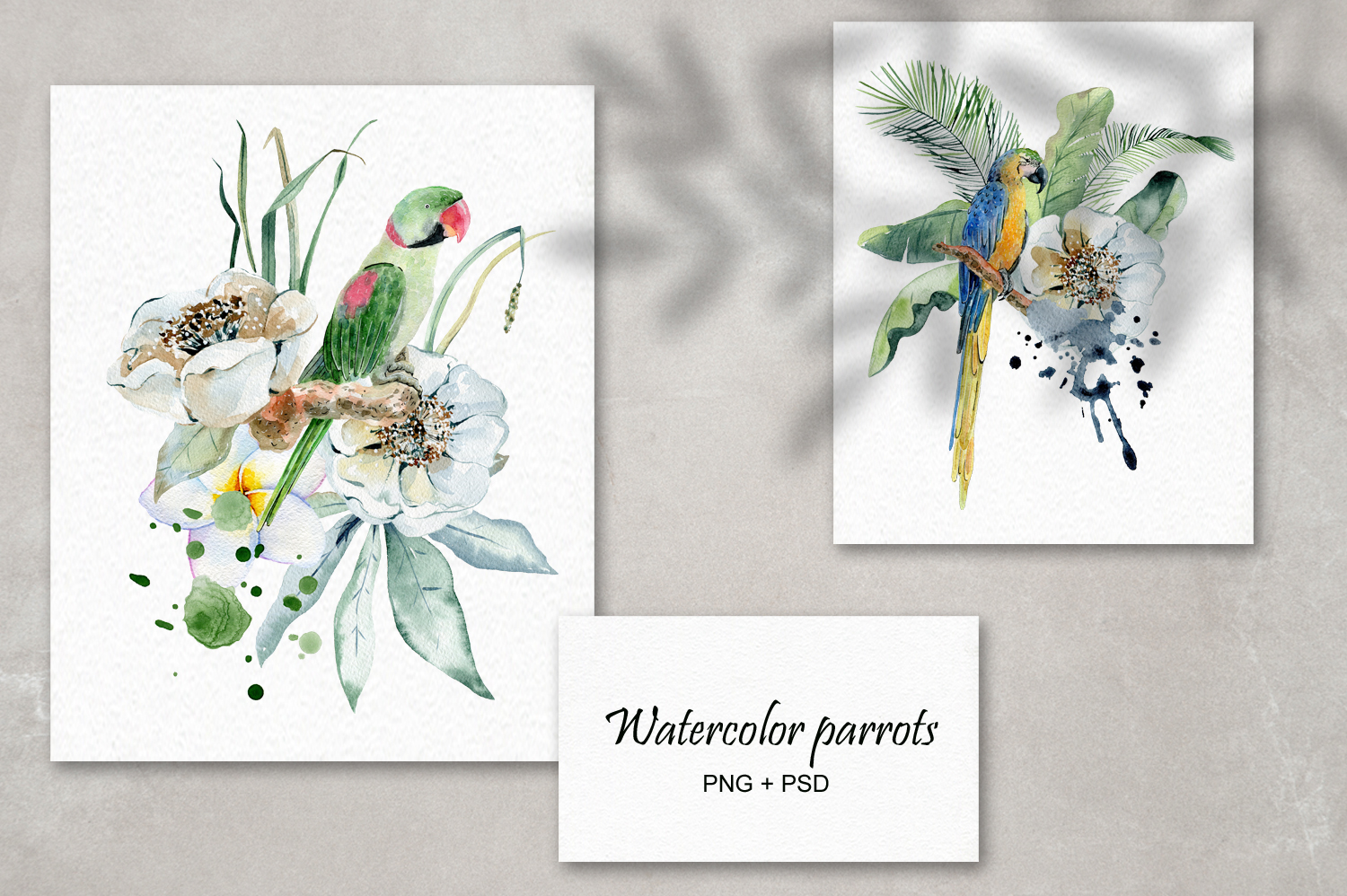 Tropical summer. Watercolor set.