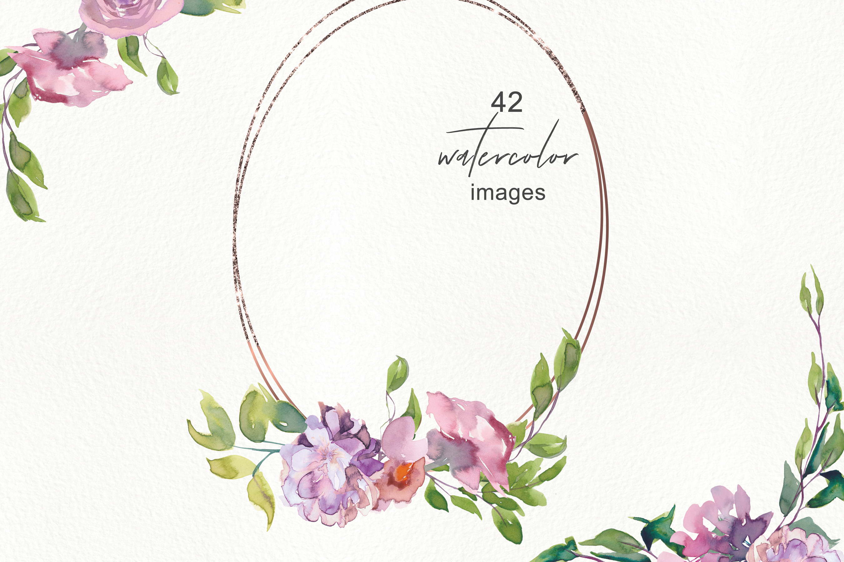 Watercolor Mauve Rose Clipart - Floral Frame Collection (167480 ...