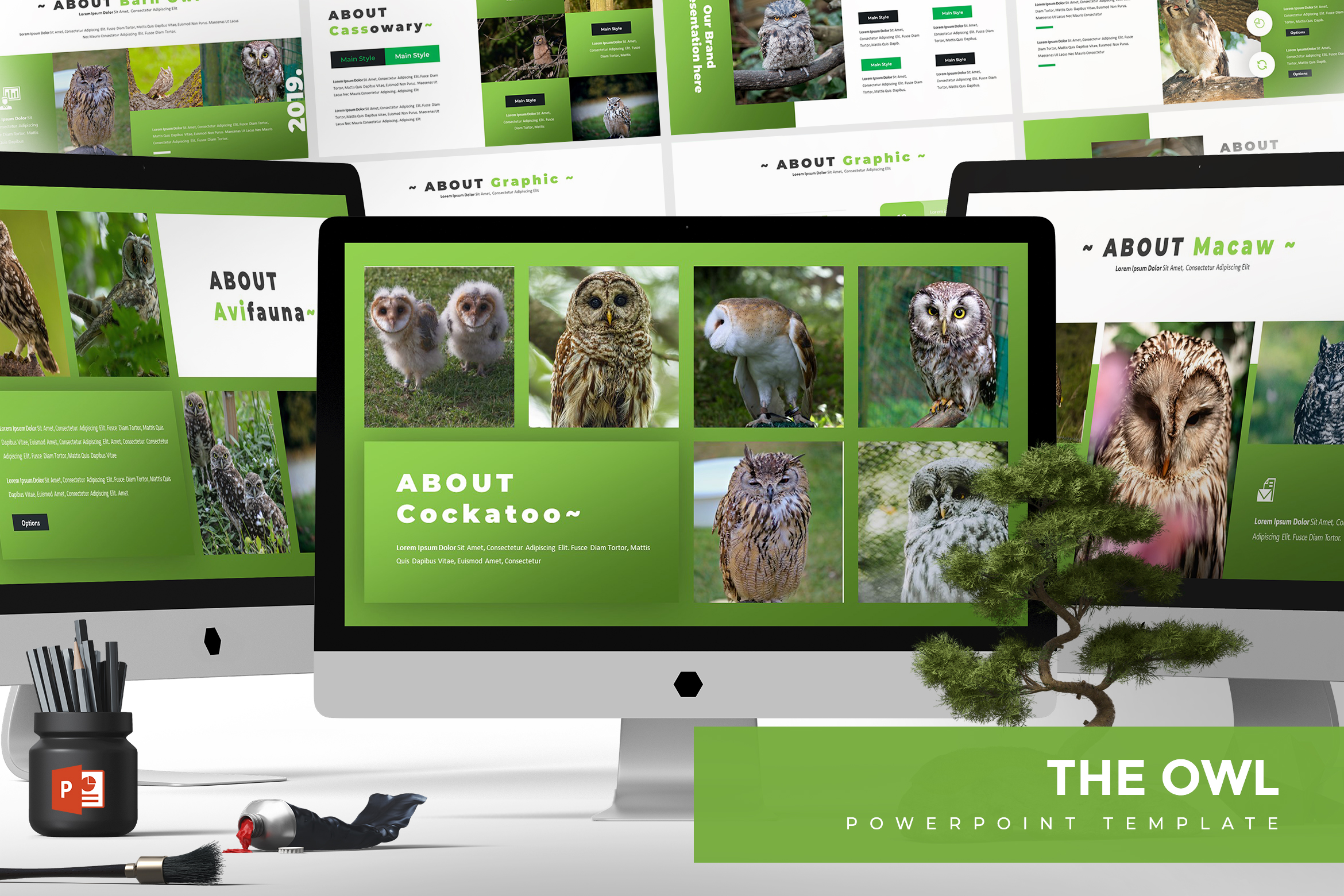 The Owl - Powerpoint Template