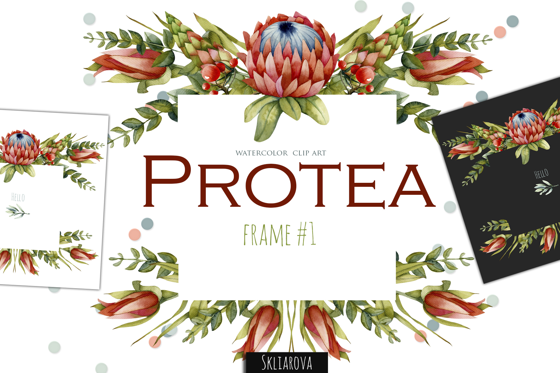 Protea. Frame #1 (233714) | Illustrations | Design Bundles