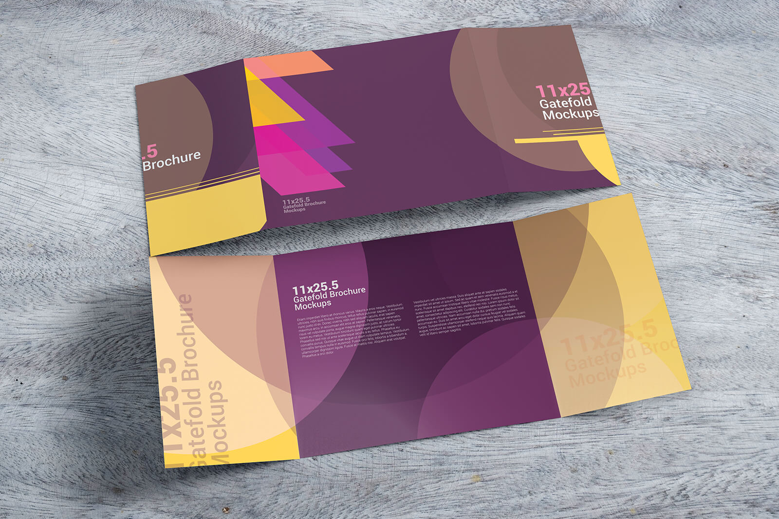 11×25.5 Gatefold Brochure Mockups