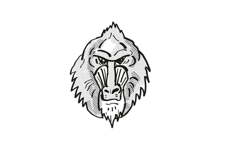 Mandrill Monkey Cartoon Retro Drawing (372908) | Illustrations | Design ...
