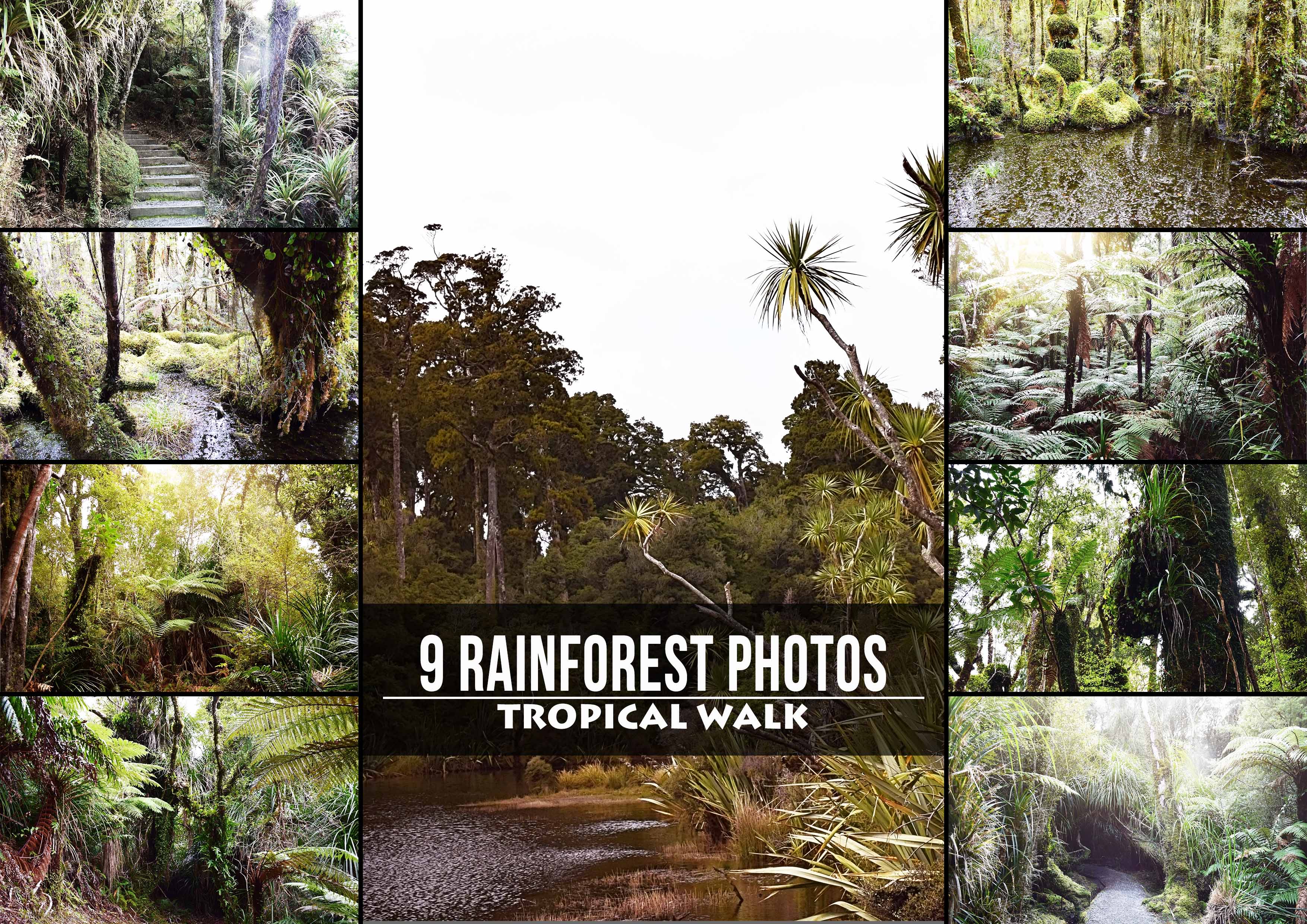 9 Tropical Rainforest Photos (85808) | Nature | Design Bundles