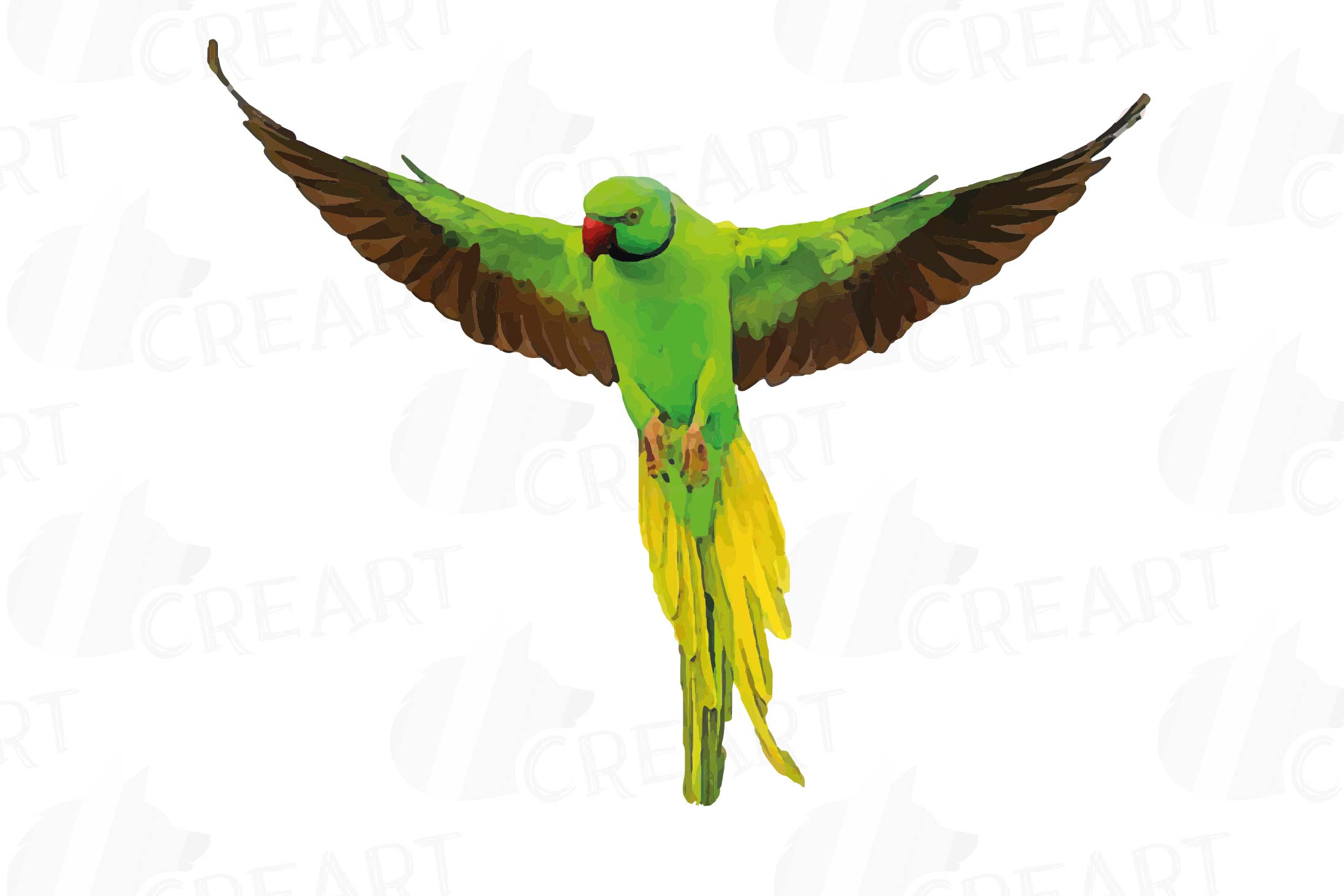 Watercolor Parrots clip art collection, green parrots vector (110039 ...