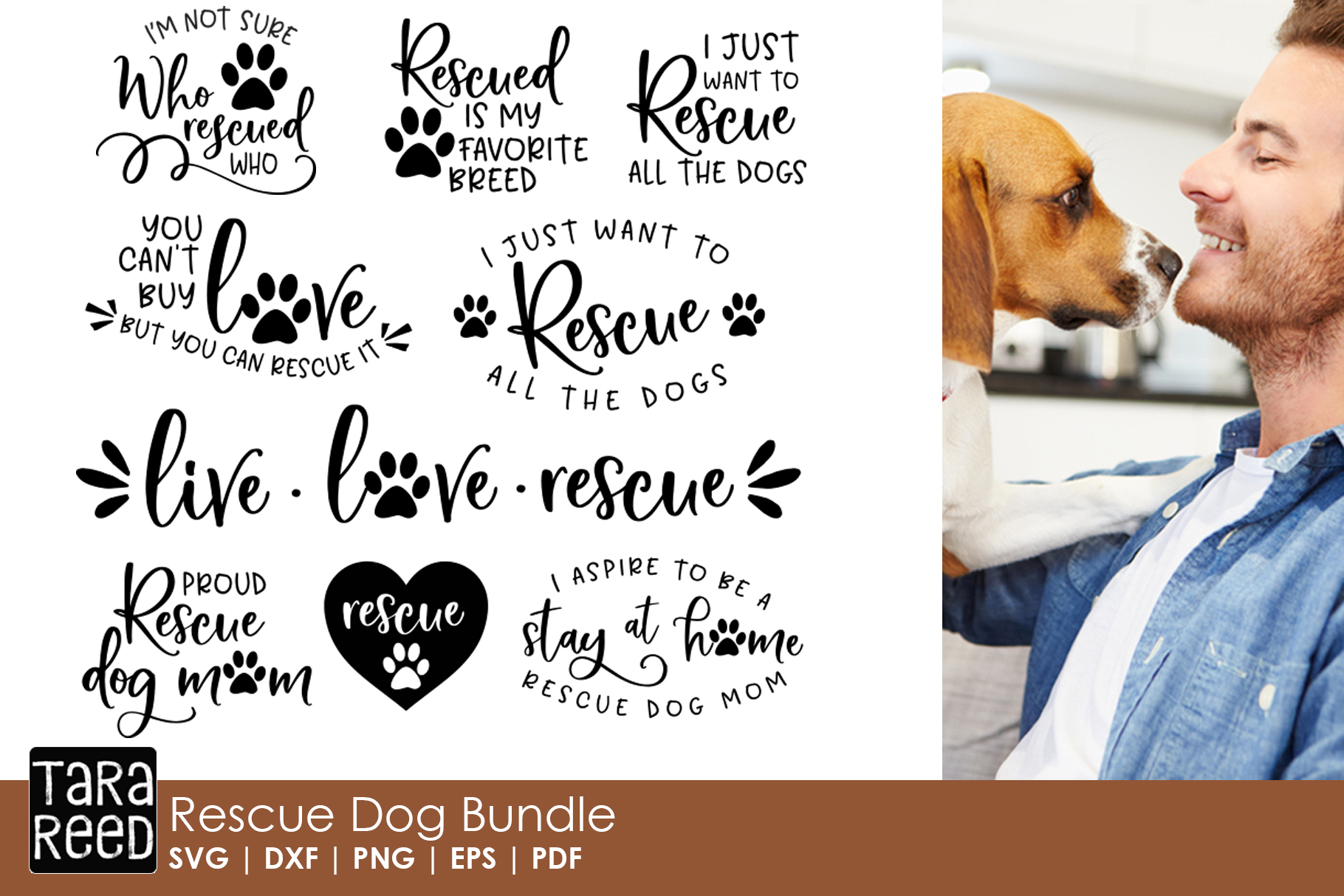 Animal Rescue Svg Animal Shelter Free Buildings Icons Choose From
