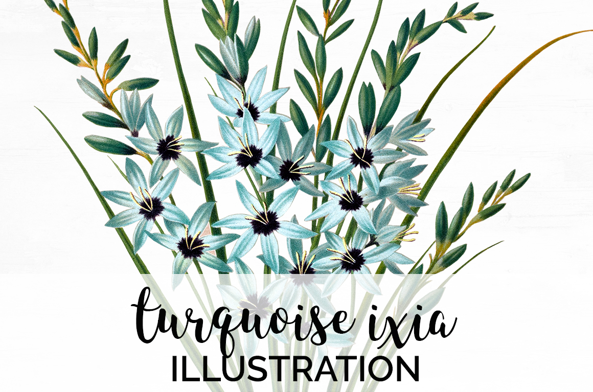 Flowers Turquoise Flowers (118222) | Illustrations | Design Bundles