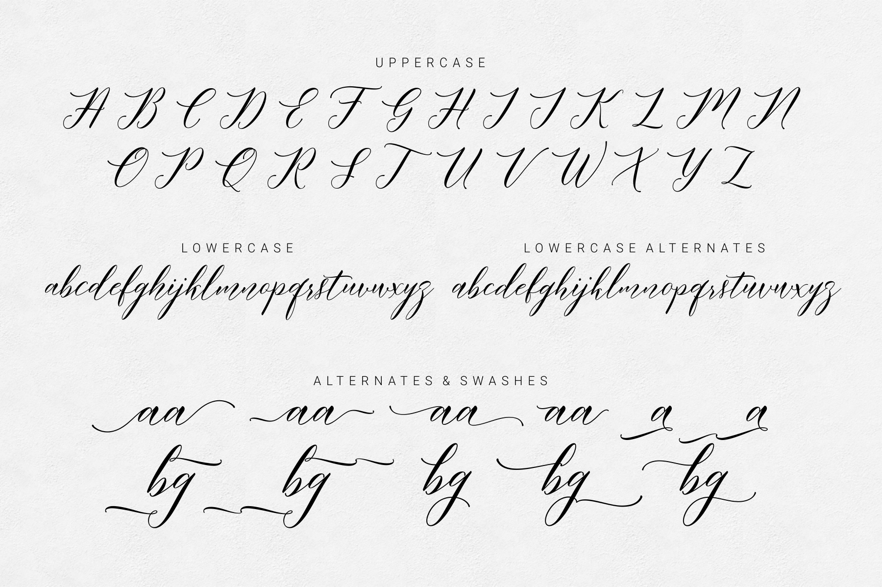 Meetha Script 38698 Script Font Bundles