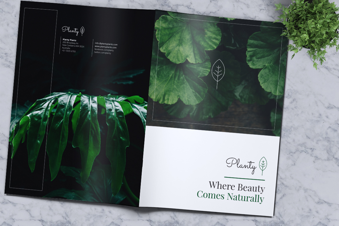Decorative Plants Brochure