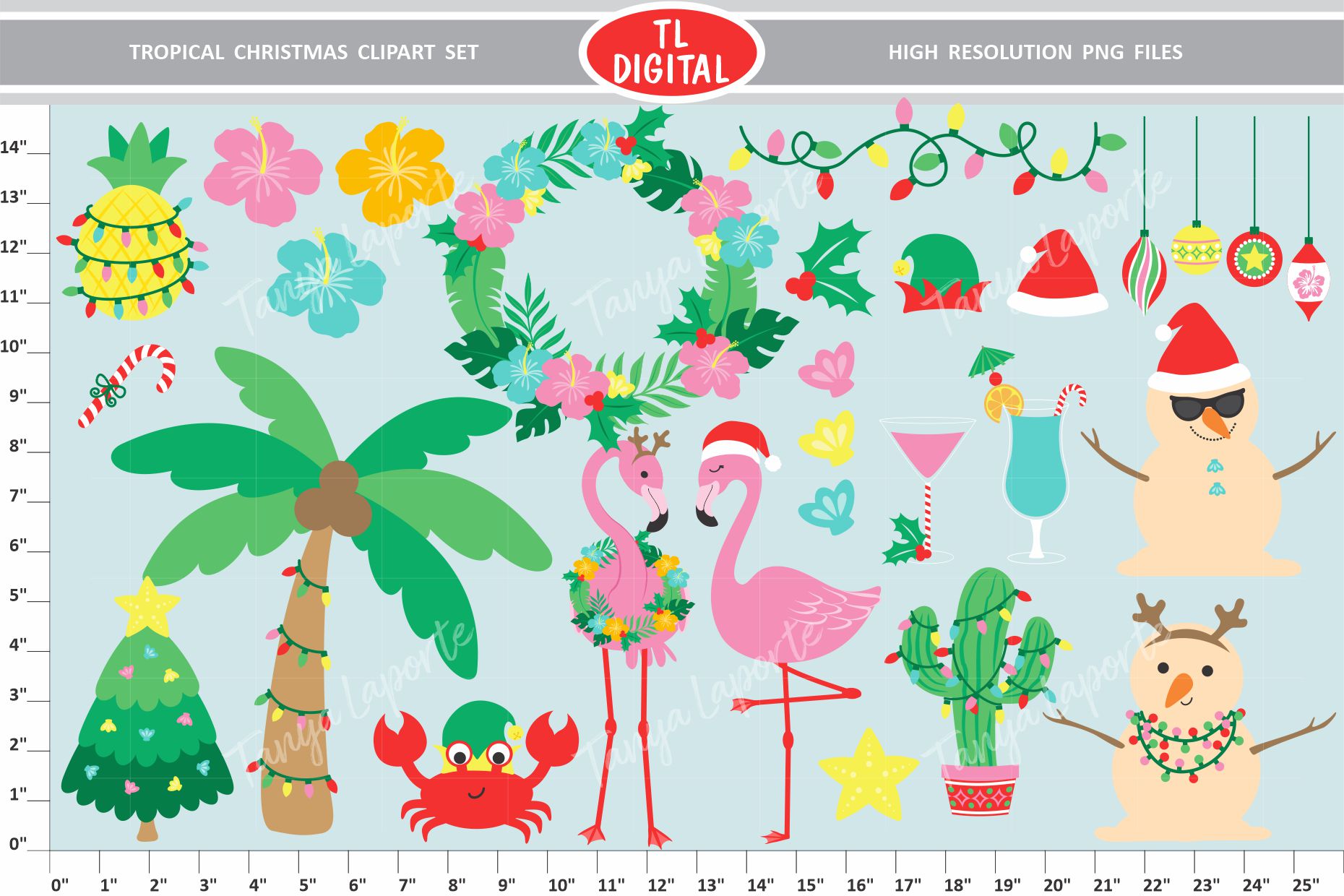 Tropical Christmas Clipart Set - 28 Graphics