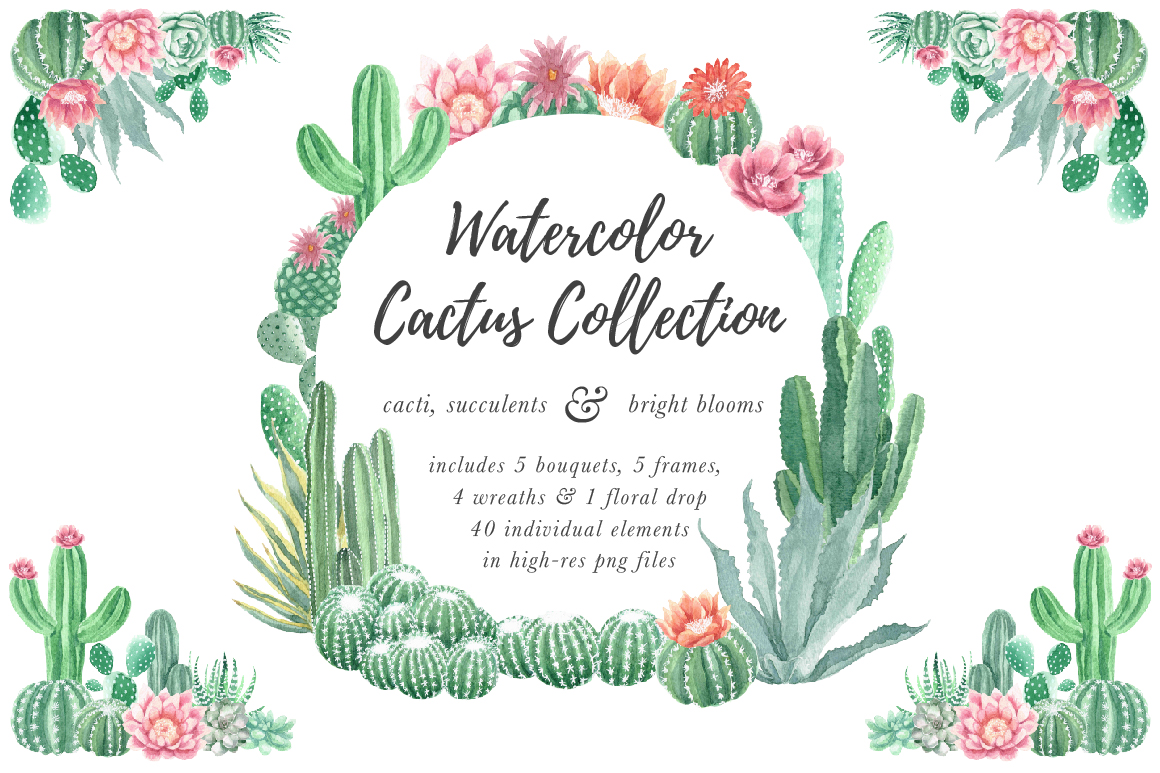 Watercolor Cactus and Succulents Collection (93549) | Illustrations ...