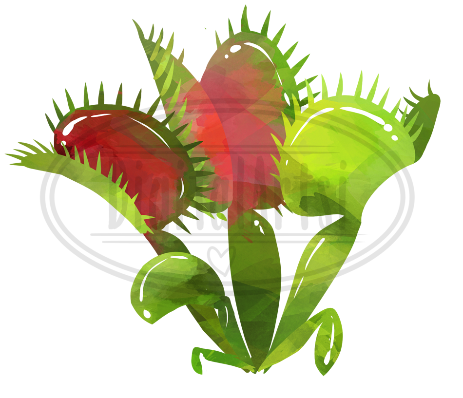 Watercolor Carnivorous Plant Clipart (161785) | Illustrations | Design ...