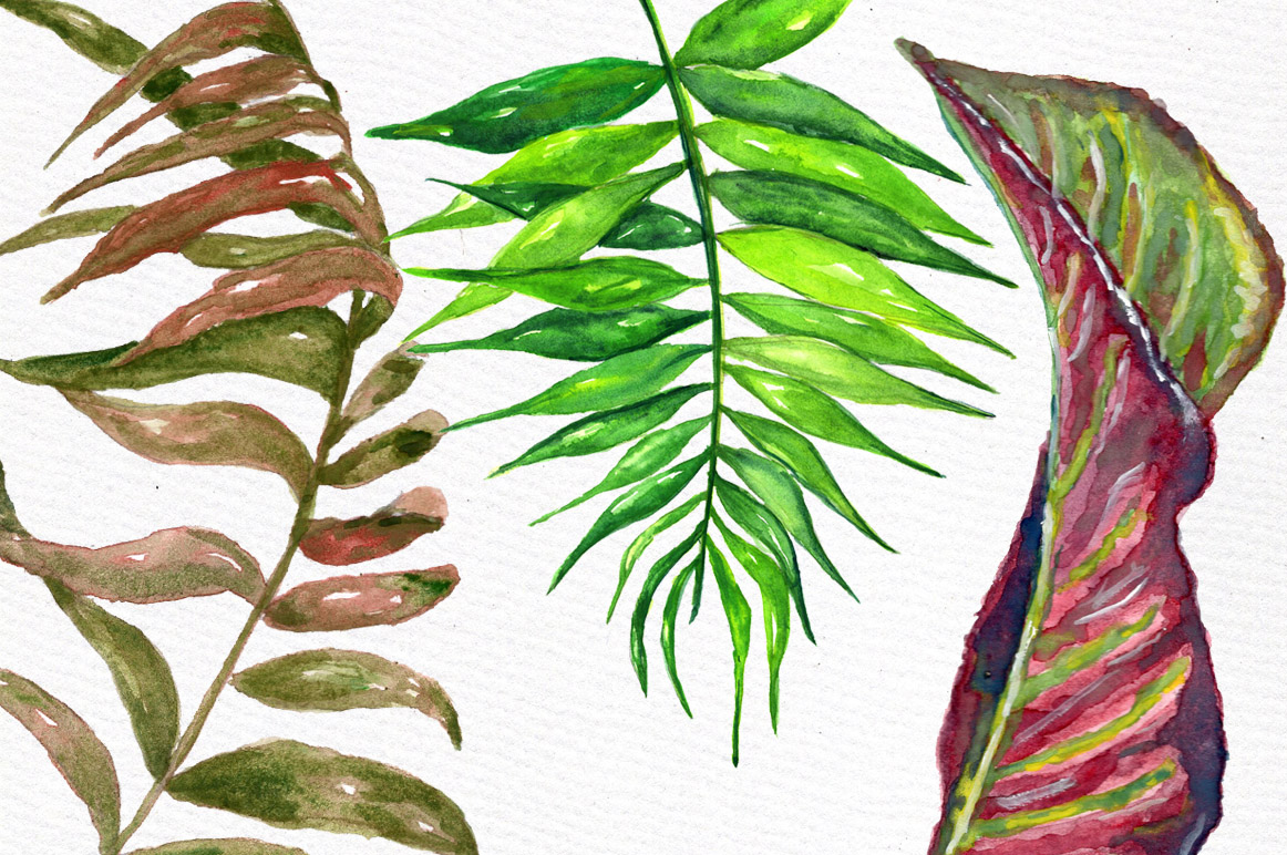 Tropical watercolor leaves