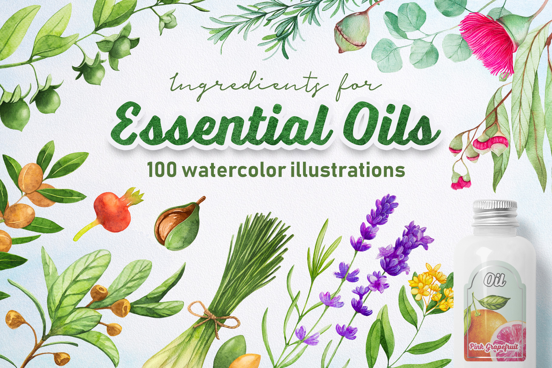 Essential Oils. Watercolor. (218444) | Illustrations | Design Bundles