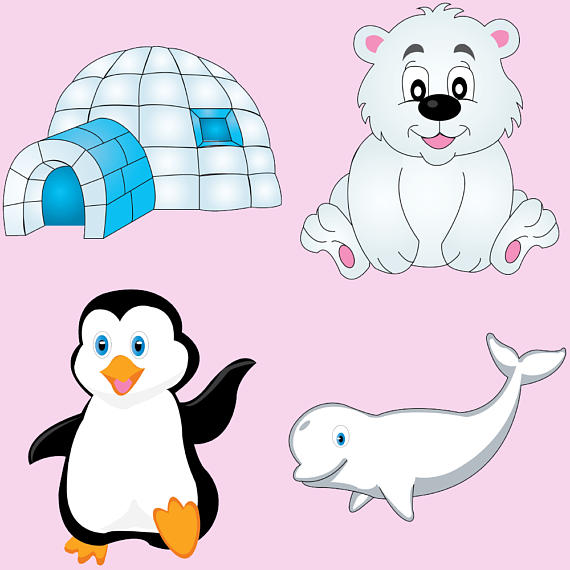 Arctic Animals Clipart