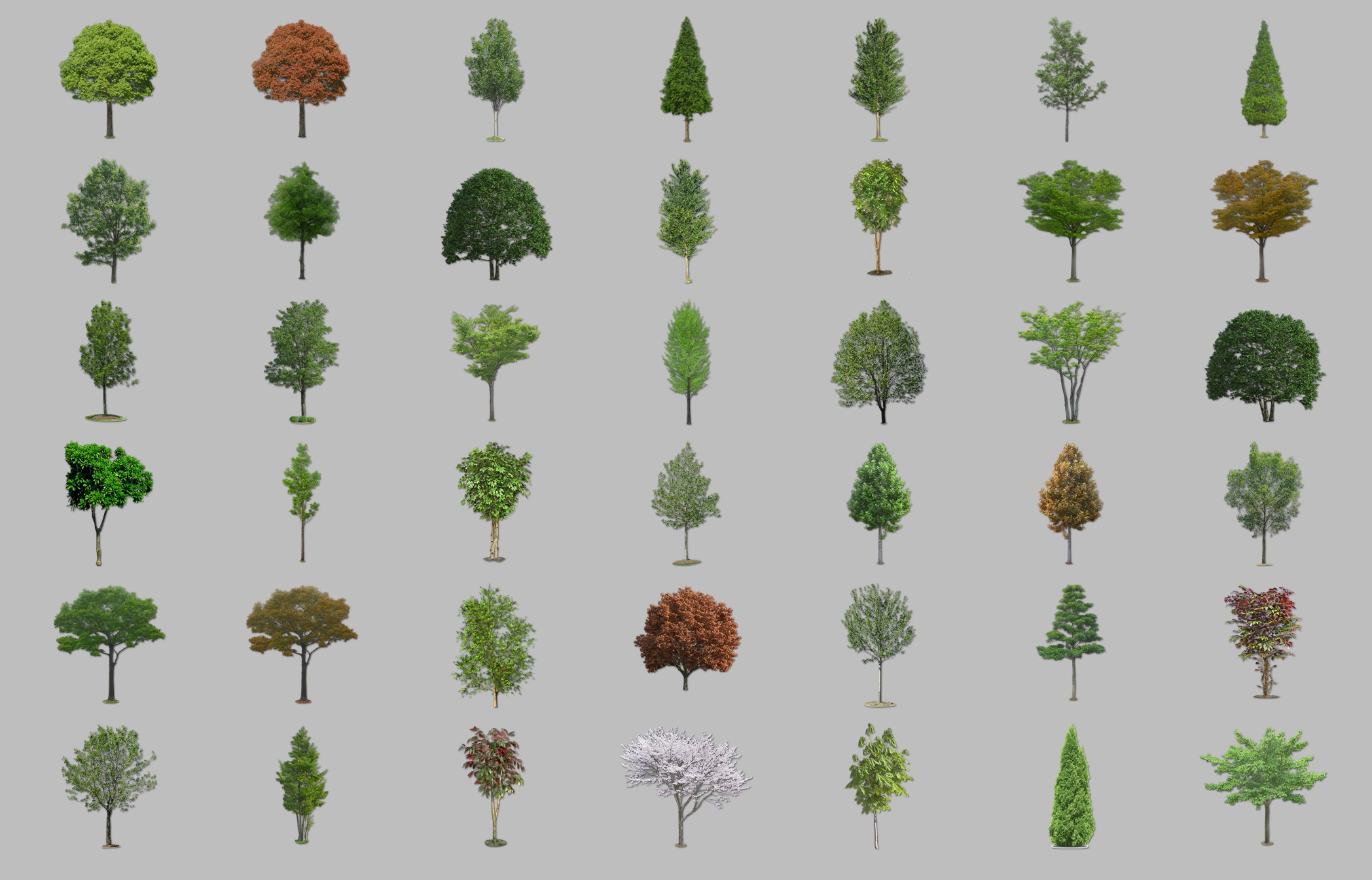 200 TREES PNG PHOTOSHOP OVERLAYS, BACKGROUNDS, BACKDROPS (532553 ...